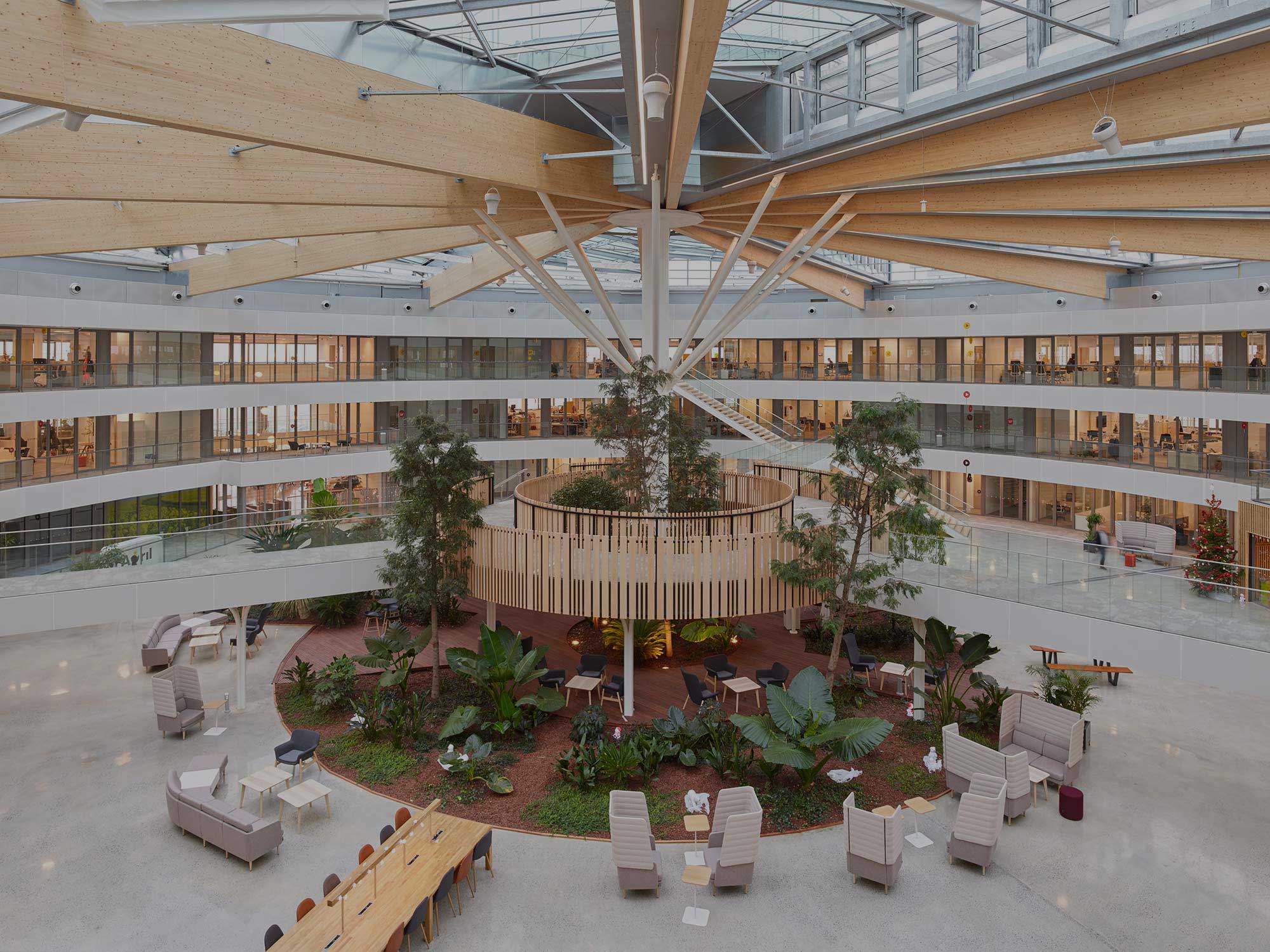 STANDARD series - Airius - industrie, voedingsindustrie, commercieel,…